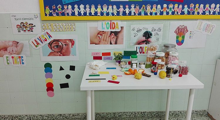 La Salle Alaior pone en marcha los Rincones Científicos para alumnos de ...